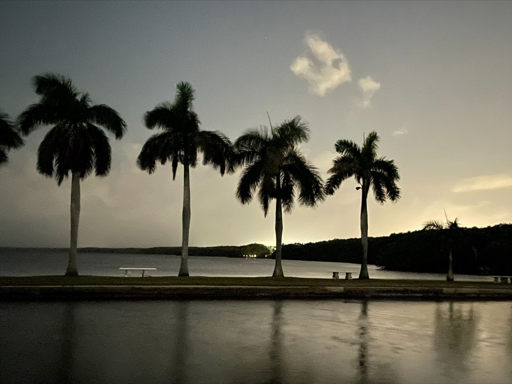 Dark Sky Kayak Trip - Deering Estate | Miami, Florida