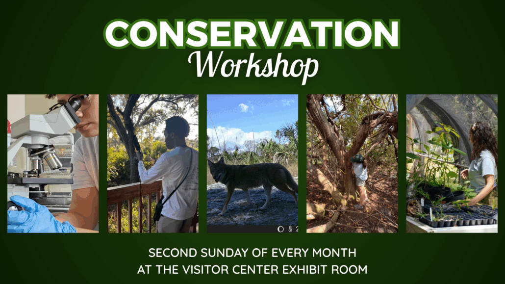 Conservation Workshop Series - Deering Estate | Miami, Florida